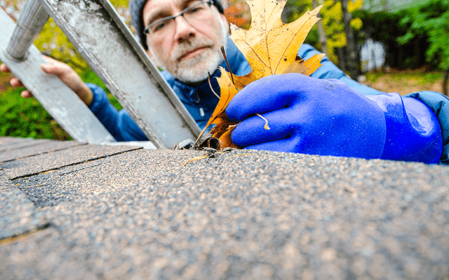 Fall Home Maintenance Tasks for 2023 | 1-800-PACK-RAT